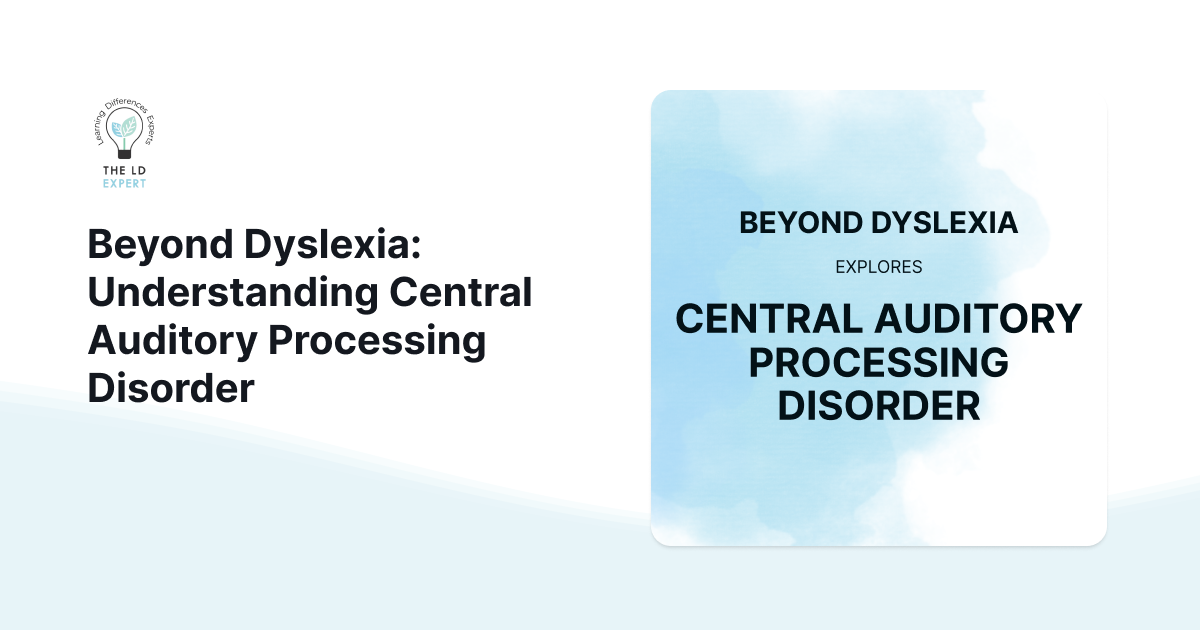 Understanding Central Auditory Processing Disorder - The LD Expert