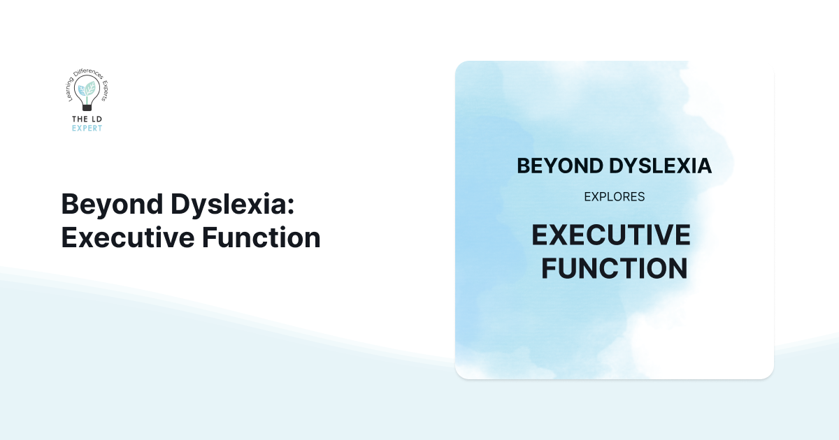 Understand Executive Function Skills for Student Success