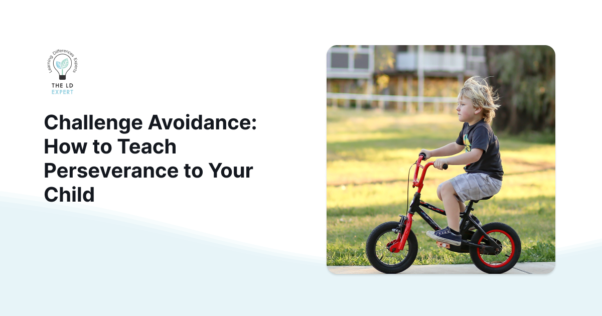 How to Teach Perseverance to Your Child and Overcome Challenge Avoidance