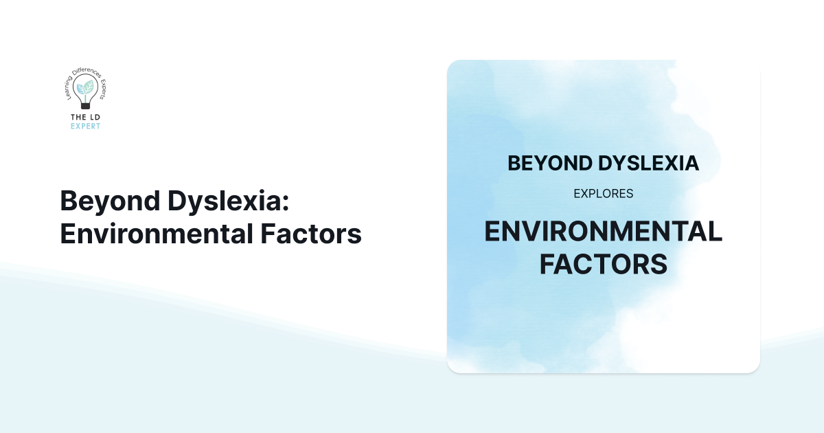 Environmental Factors That Affect Learning | LD Expert