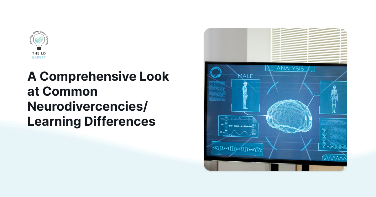 Understanding Common Neurodivergencies | LD Expert